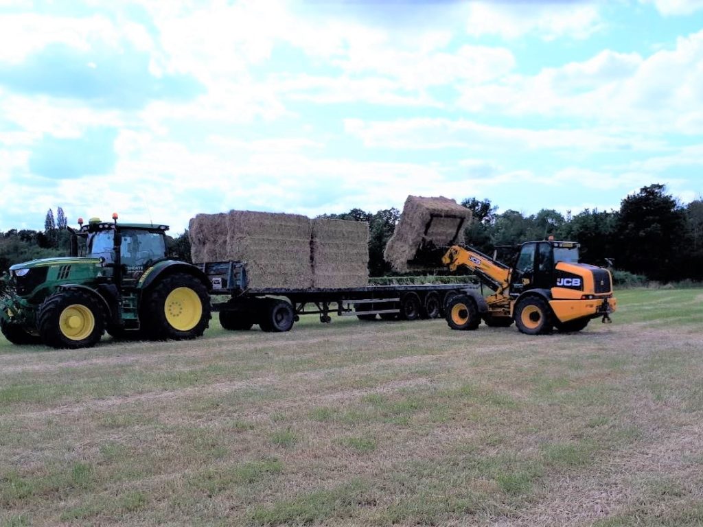 Forage Conservation / Baling Services in… | Shorts Agricultural